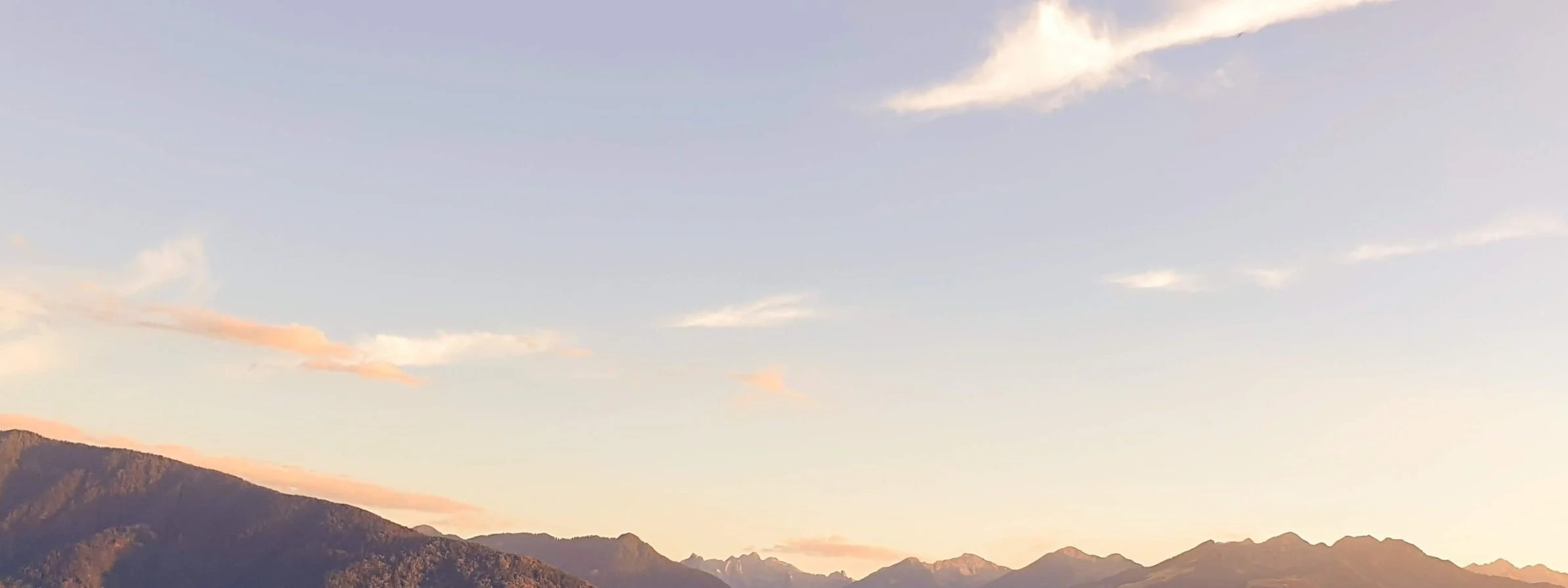 Services — Natalie Ingham Translation Services