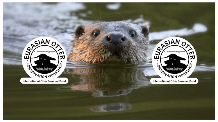 International Otter Survival Fund