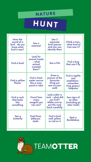 Team Otter - Fun and Games — International Otter Survival Fund