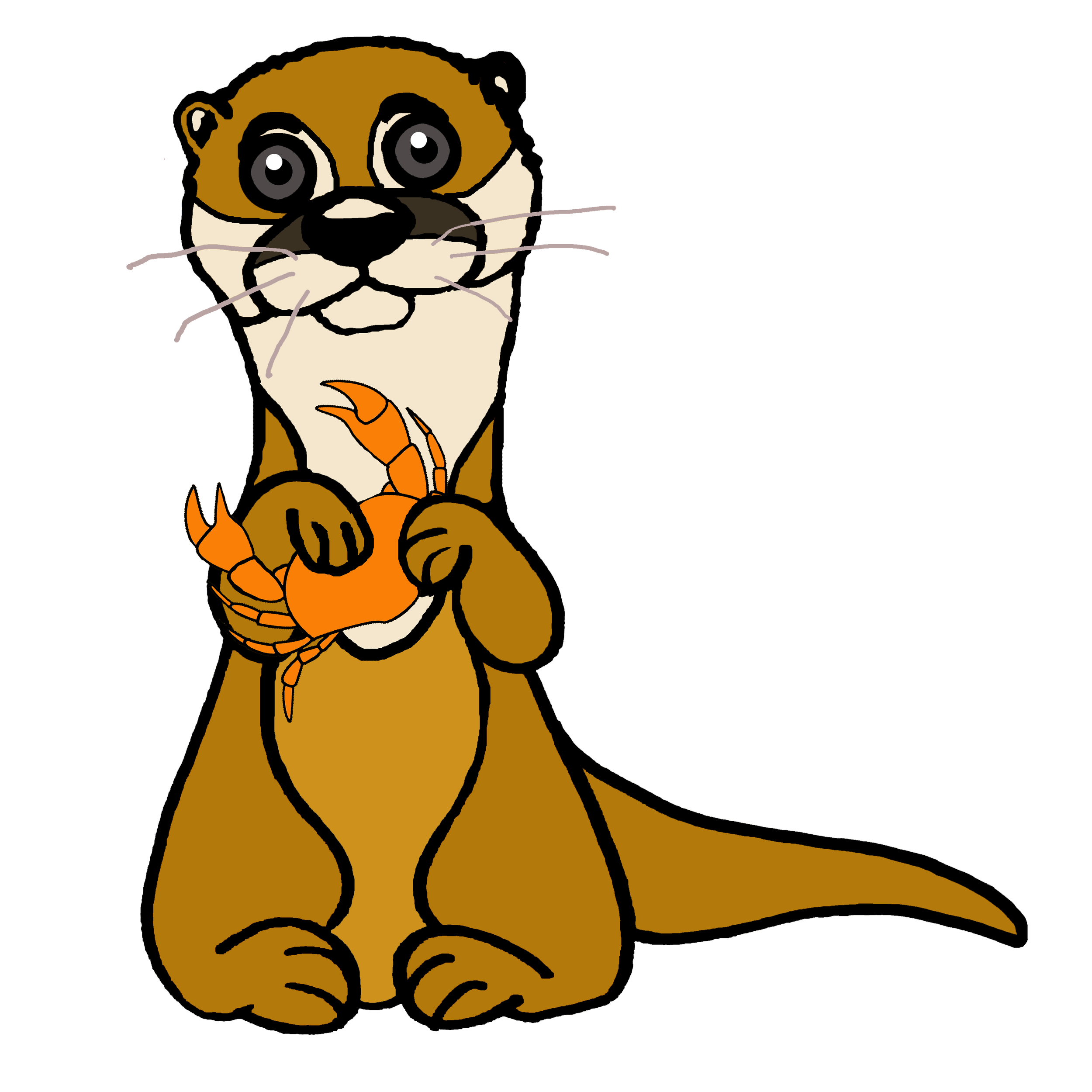 Our work - Team Otter — International Otter Survival Fund