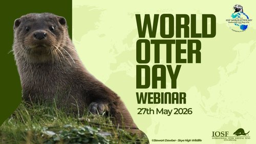 Our Work - World Otter Day — International Otter Survival Fund