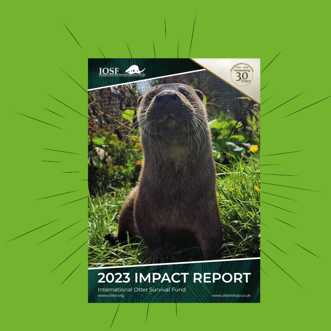 Latest — International Otter Survival Fund