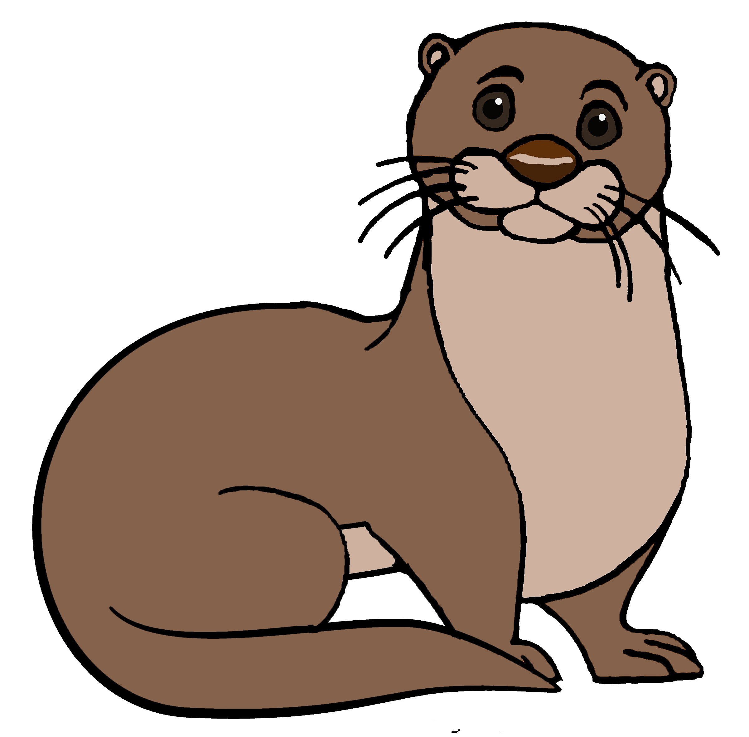Our work - Team Otter — International Otter Survival Fund