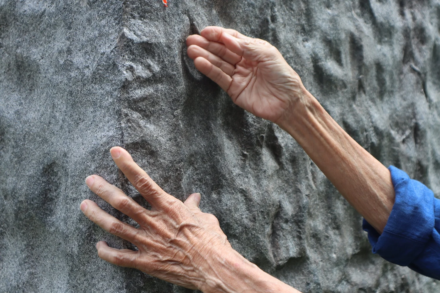 Han Sai Por — Living Archive of Contemporary Asian Art