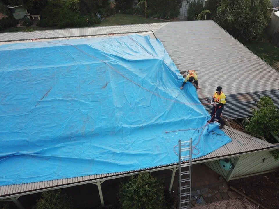 Arch Project Group — Arch Project Group