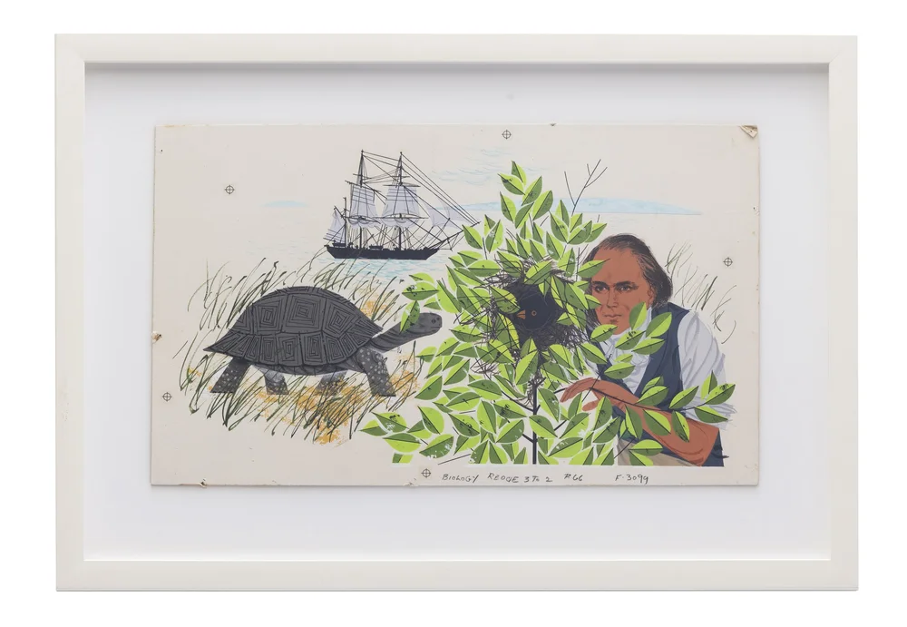 YOUNG CHARLES DARWIN IN THE GALAPAGOS ISLANDS — HARPER ORIGINALS