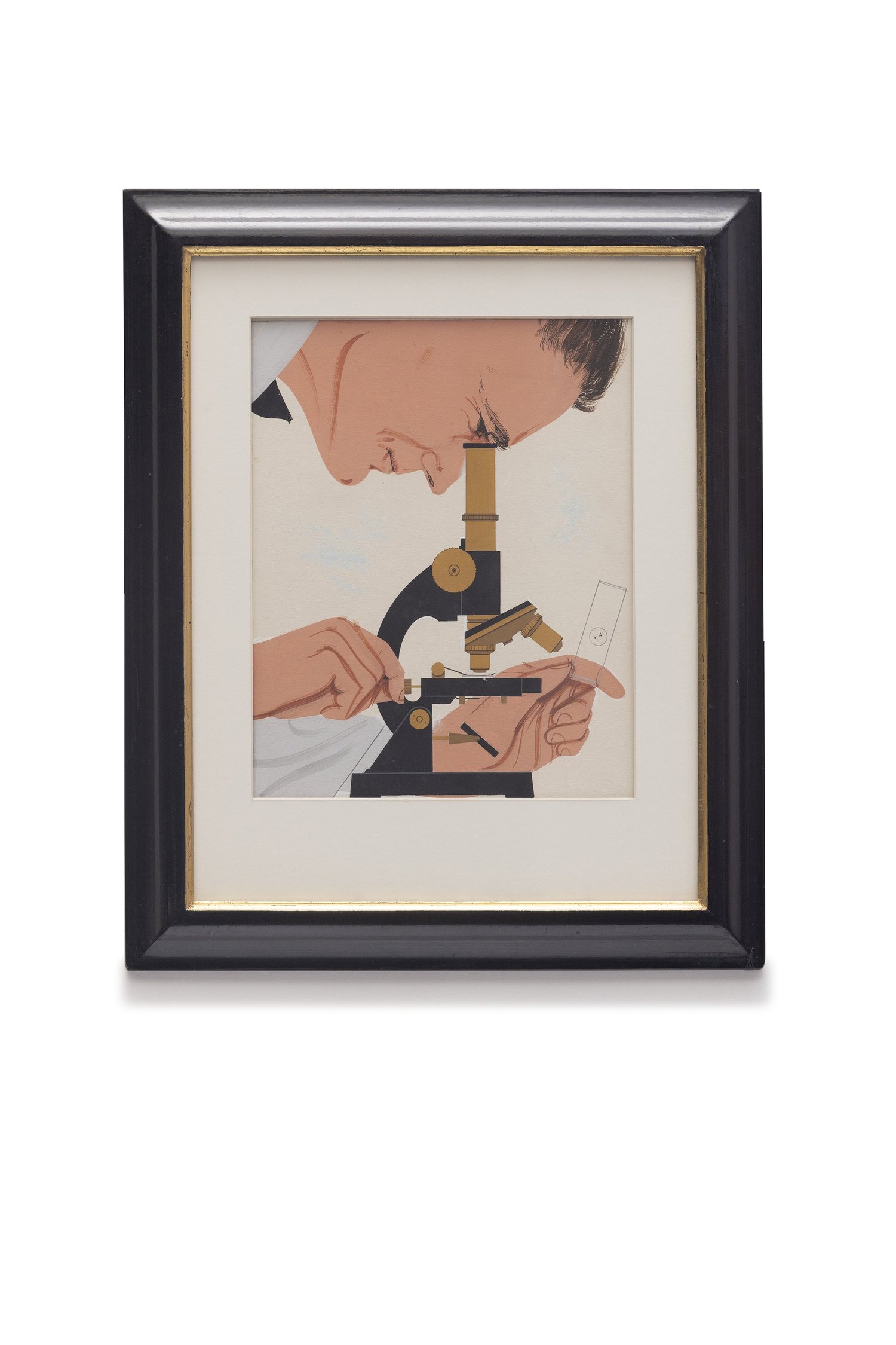 MODERN MICROSCOPE — HARPER ORIGINALS