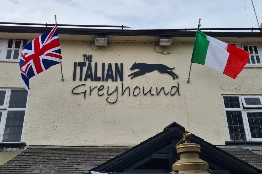 THE ITALIAN GREYHOUND