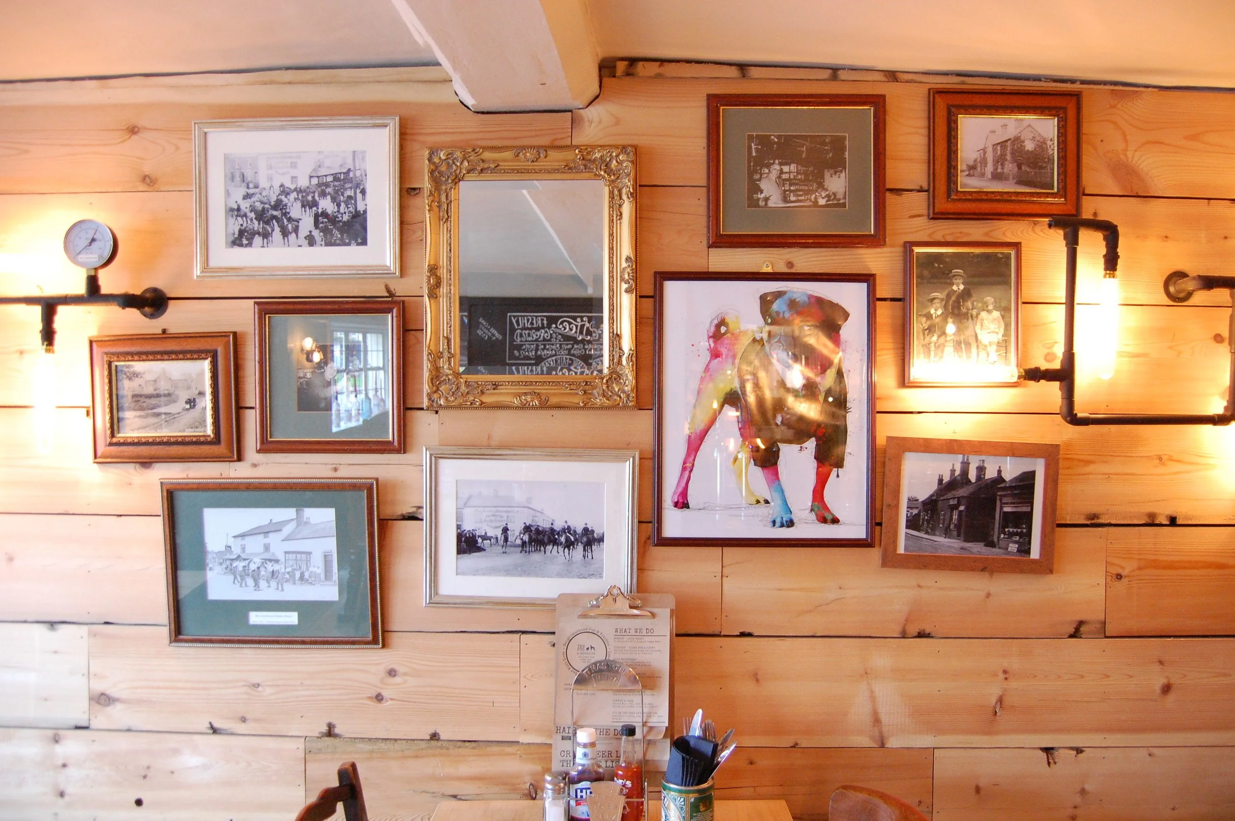 THE ITALIAN GREYHOUND