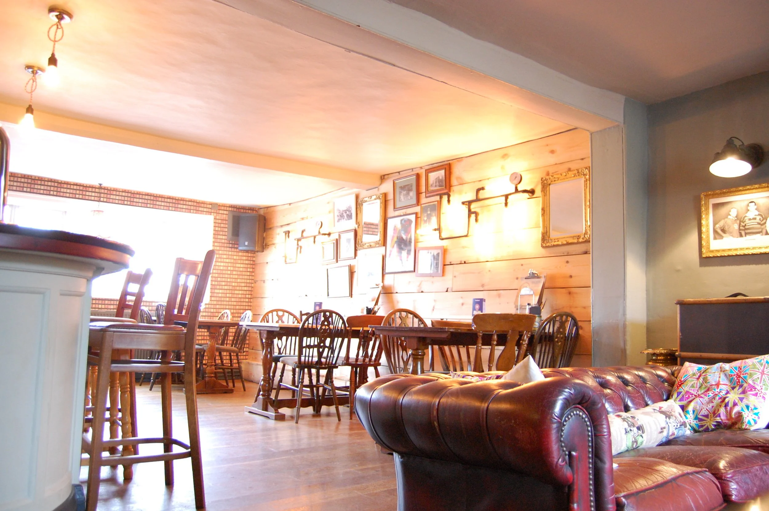 THE ITALIAN GREYHOUND