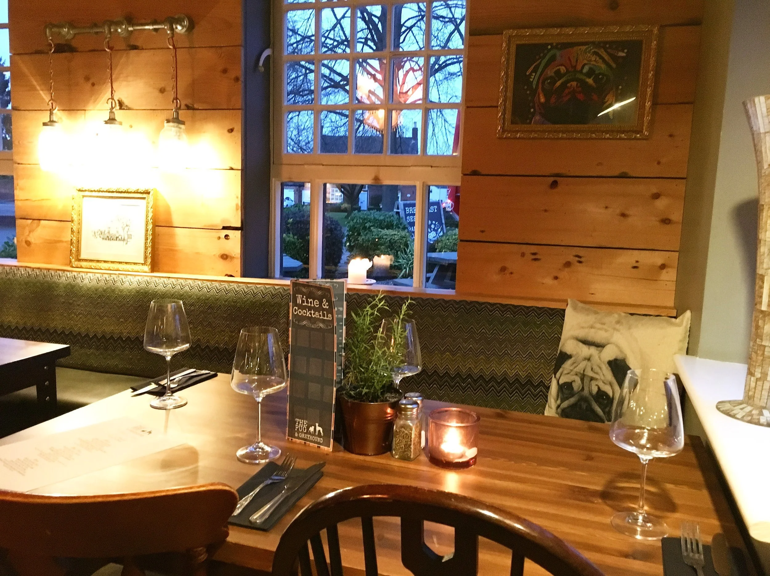 THE ITALIAN GREYHOUND