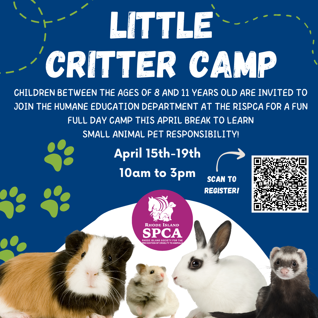 Critter Camp — RISPCA