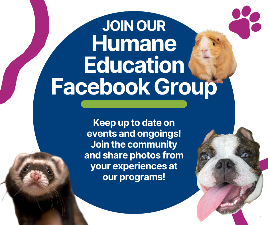 Humane Education — RISPCA