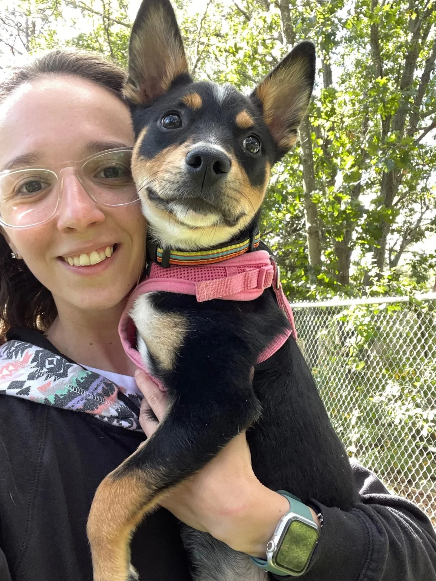 Volunteer — RISPCA