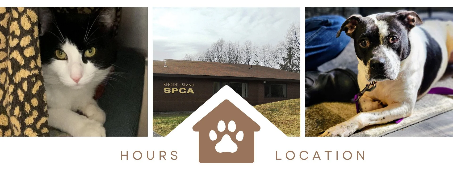 Hours and Location — RISPCA