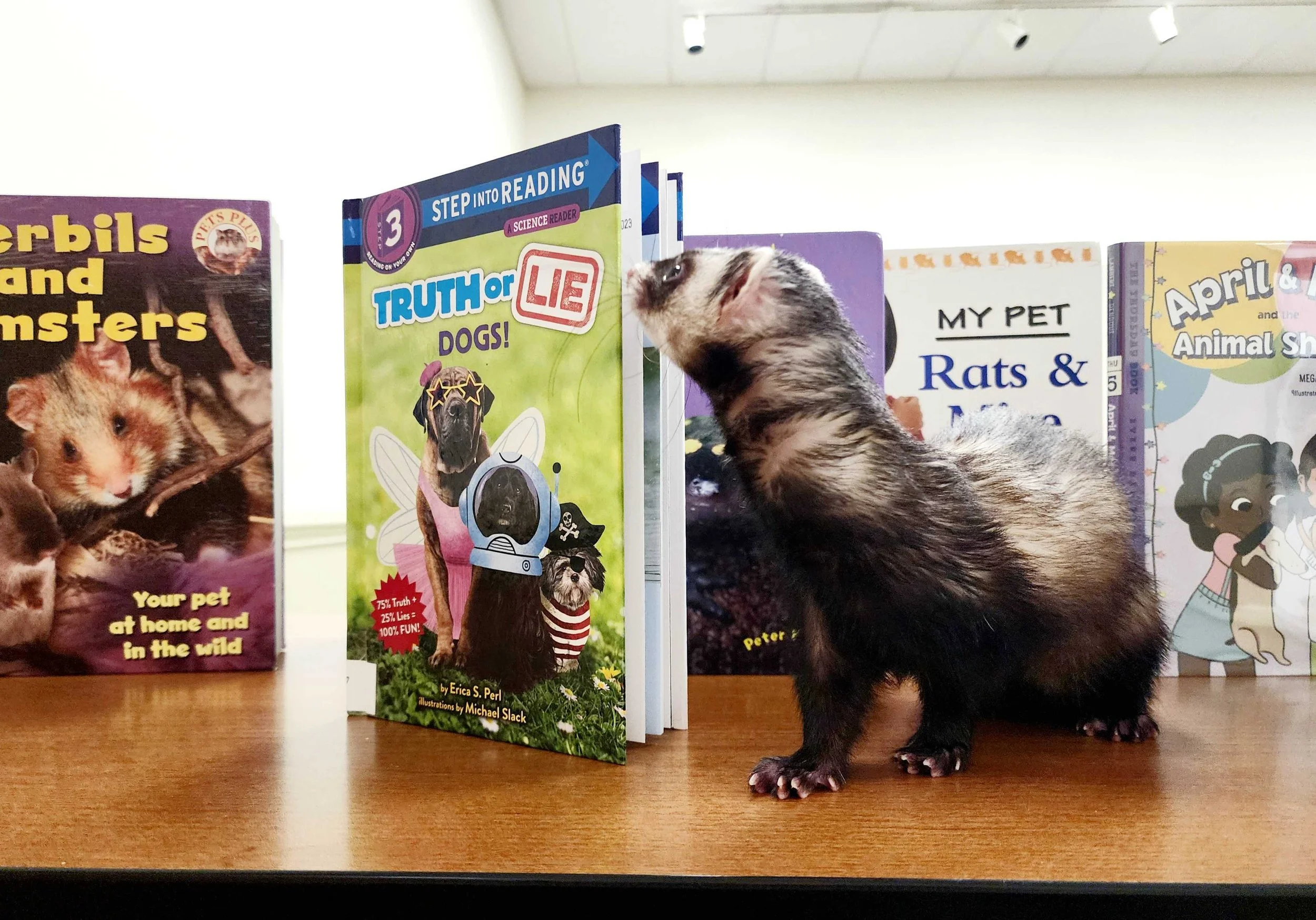 Humane Education — RISPCA