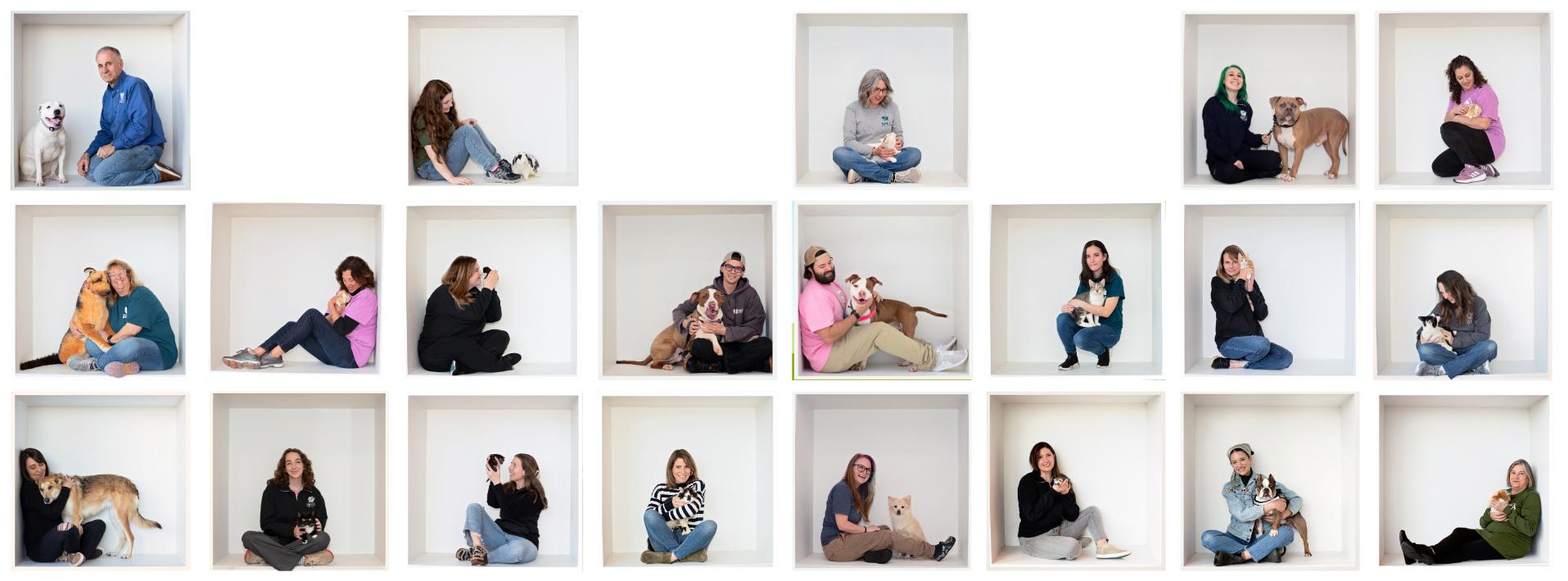 Employment — RISPCA