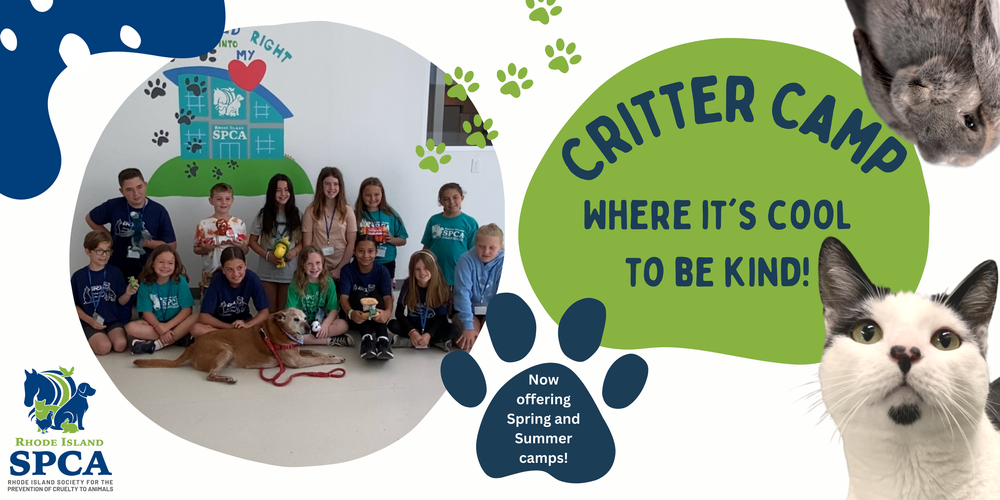 Critter Camp — RISPCA