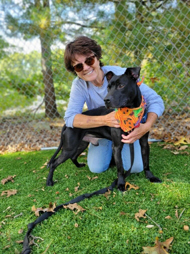 Volunteer — RISPCA