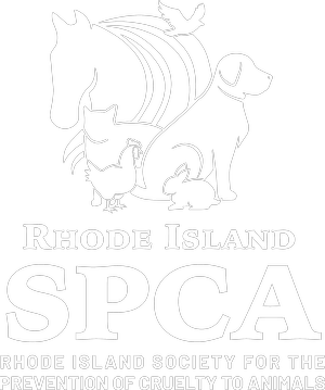 Adoptable Dogs — RISPCA