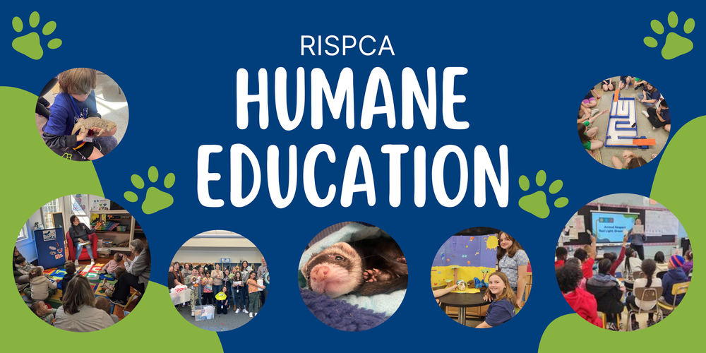 Humane Education — RISPCA