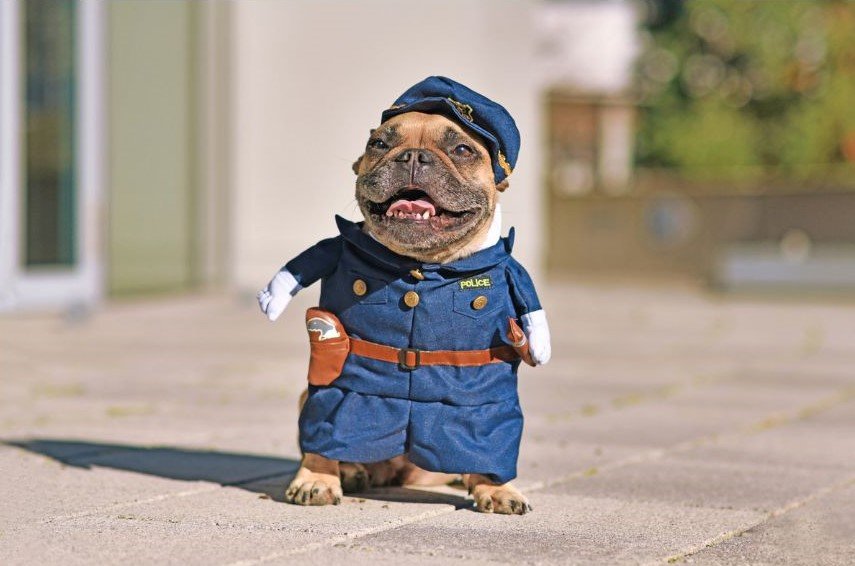 Humane Education — RISPCA