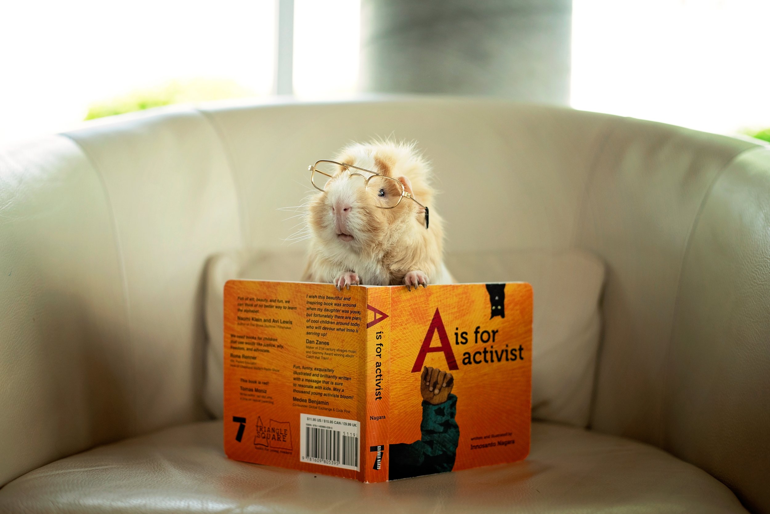Humane Education — RISPCA