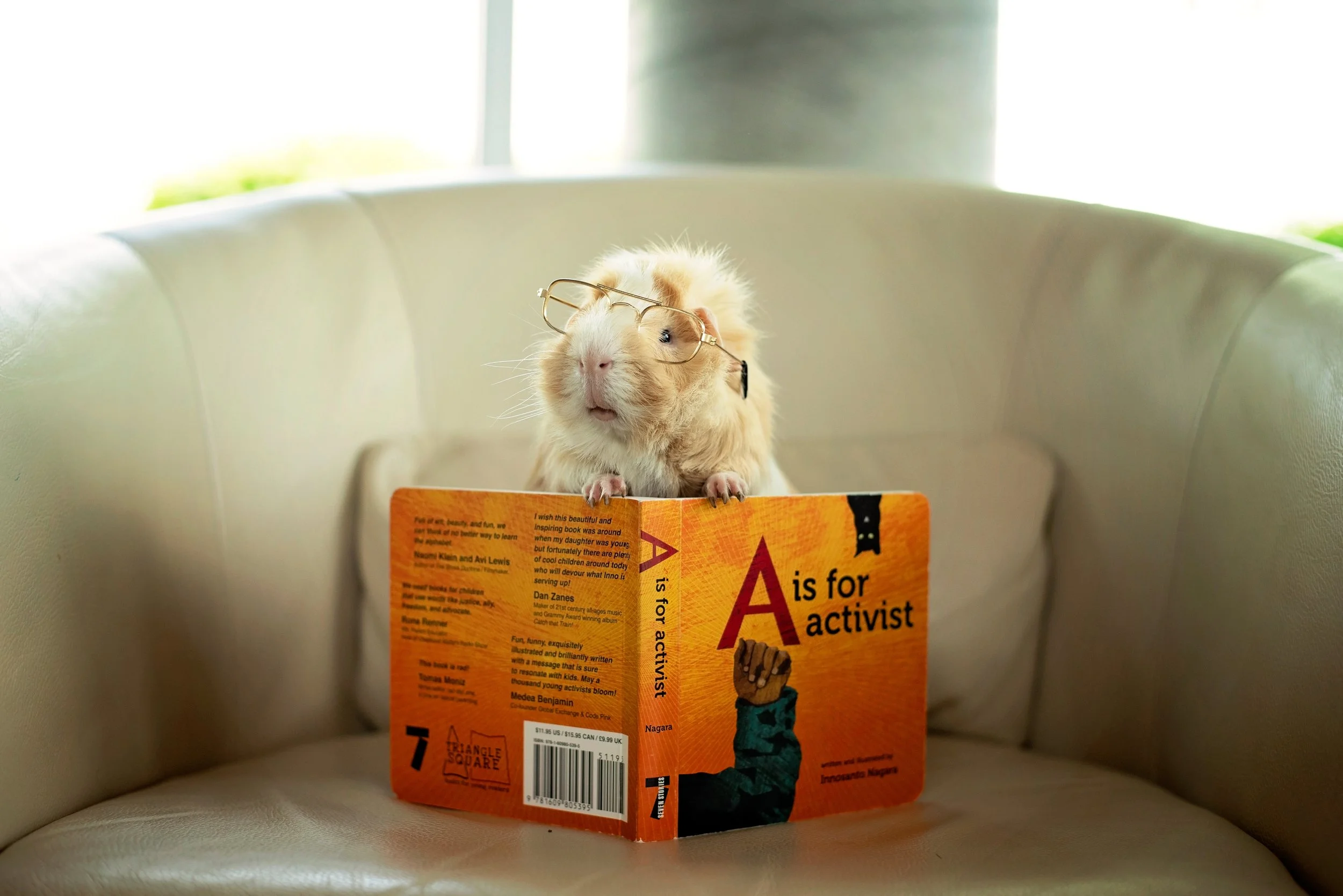 Humane Education — RISPCA