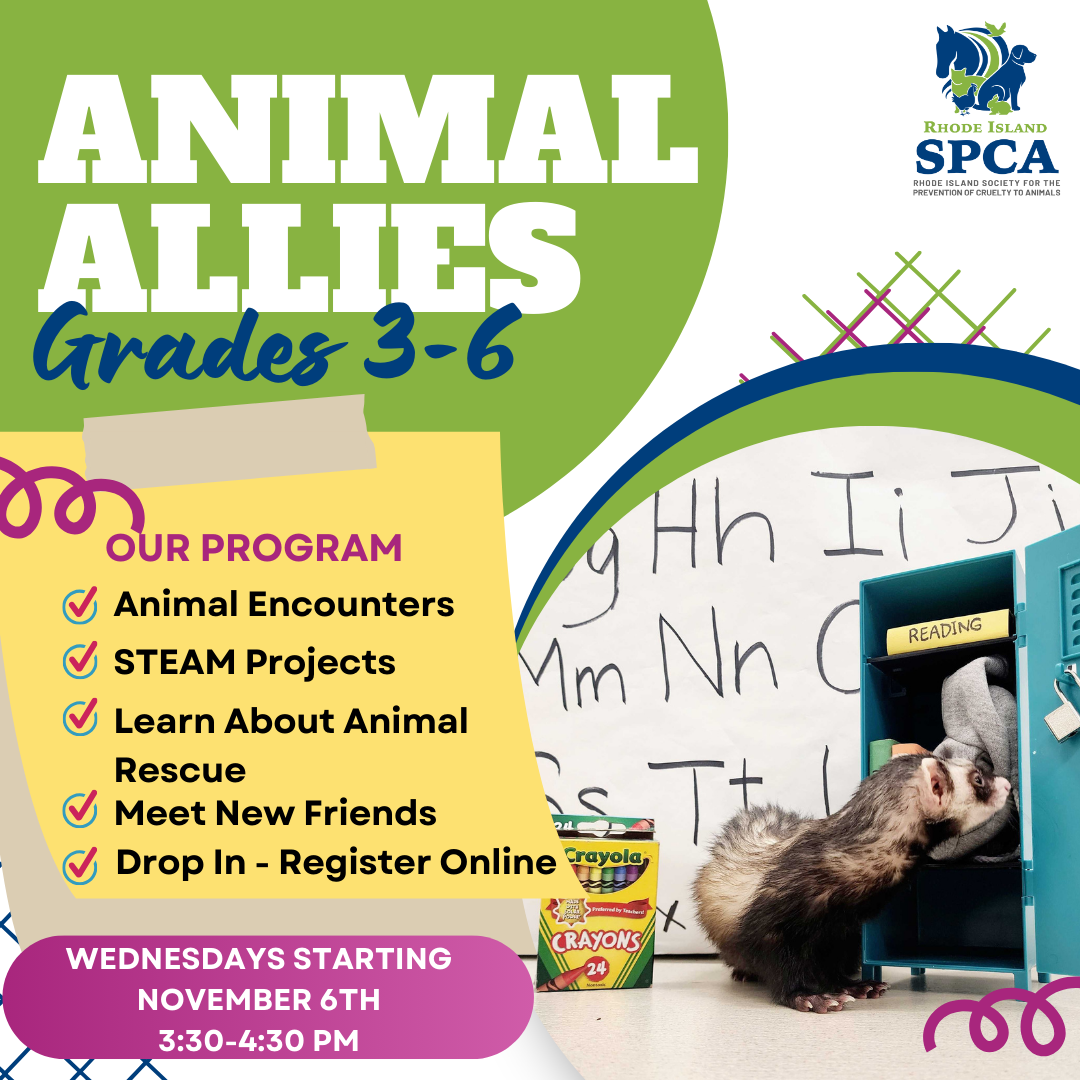 Humane Education — RISPCA