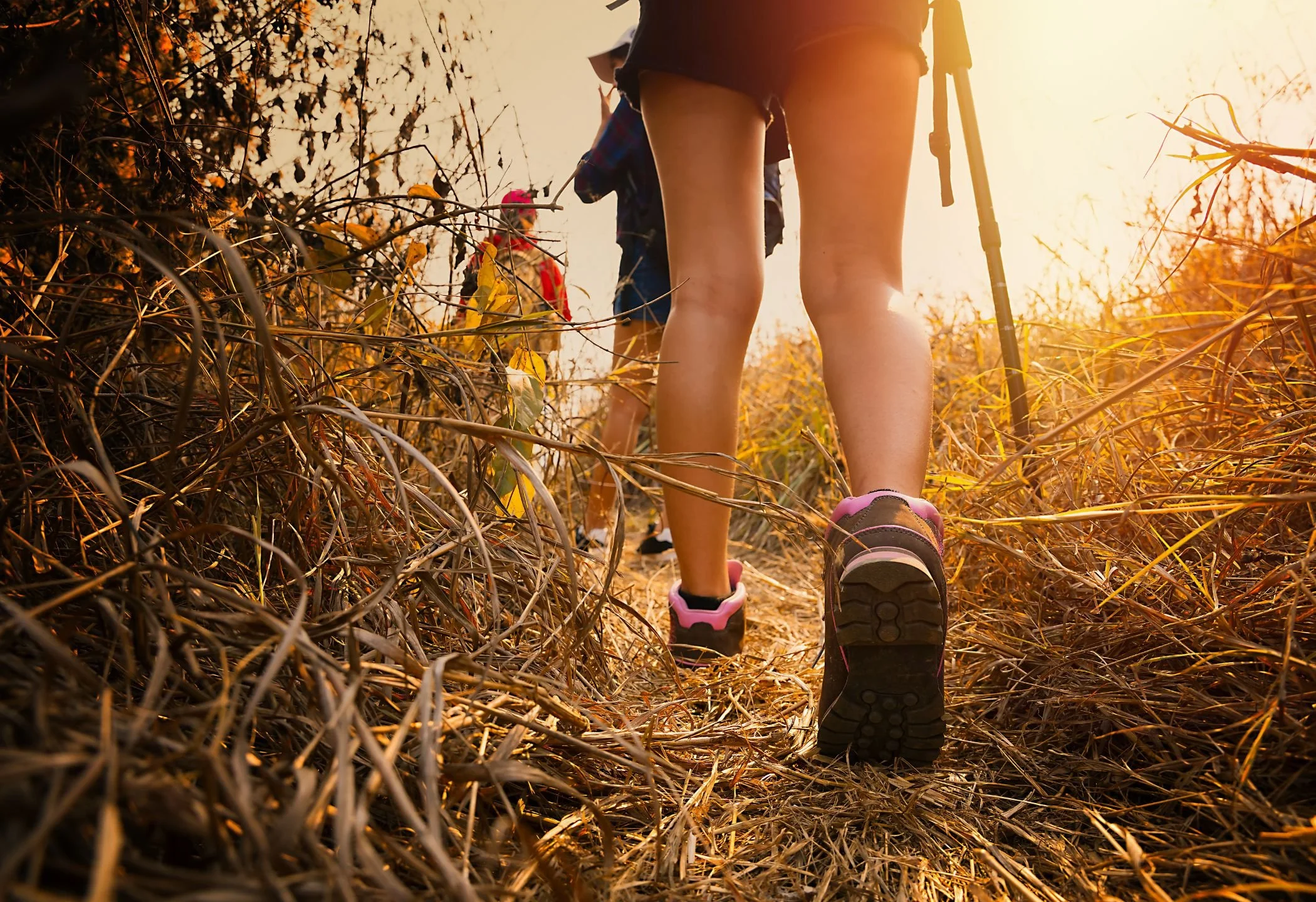 Zo veel calorieën verbrand je door te wandelen | Lopen Zonder Blaren