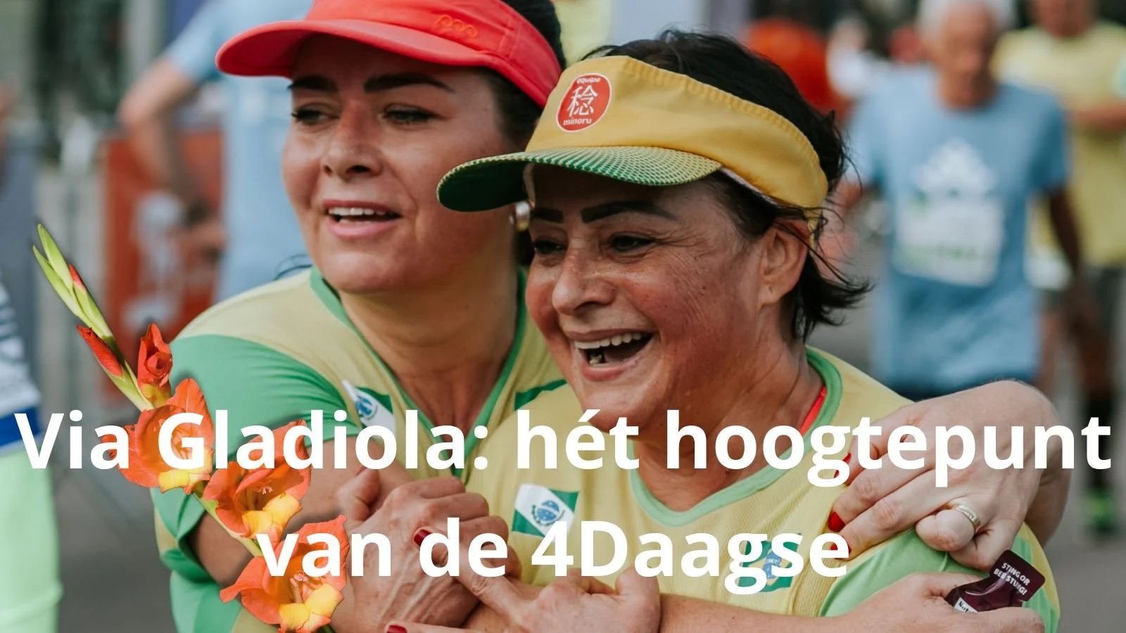 Via Gladiola: Hét hoogtepunt van de Nijmeegse Vierdaagse | Lopen Zonder ...