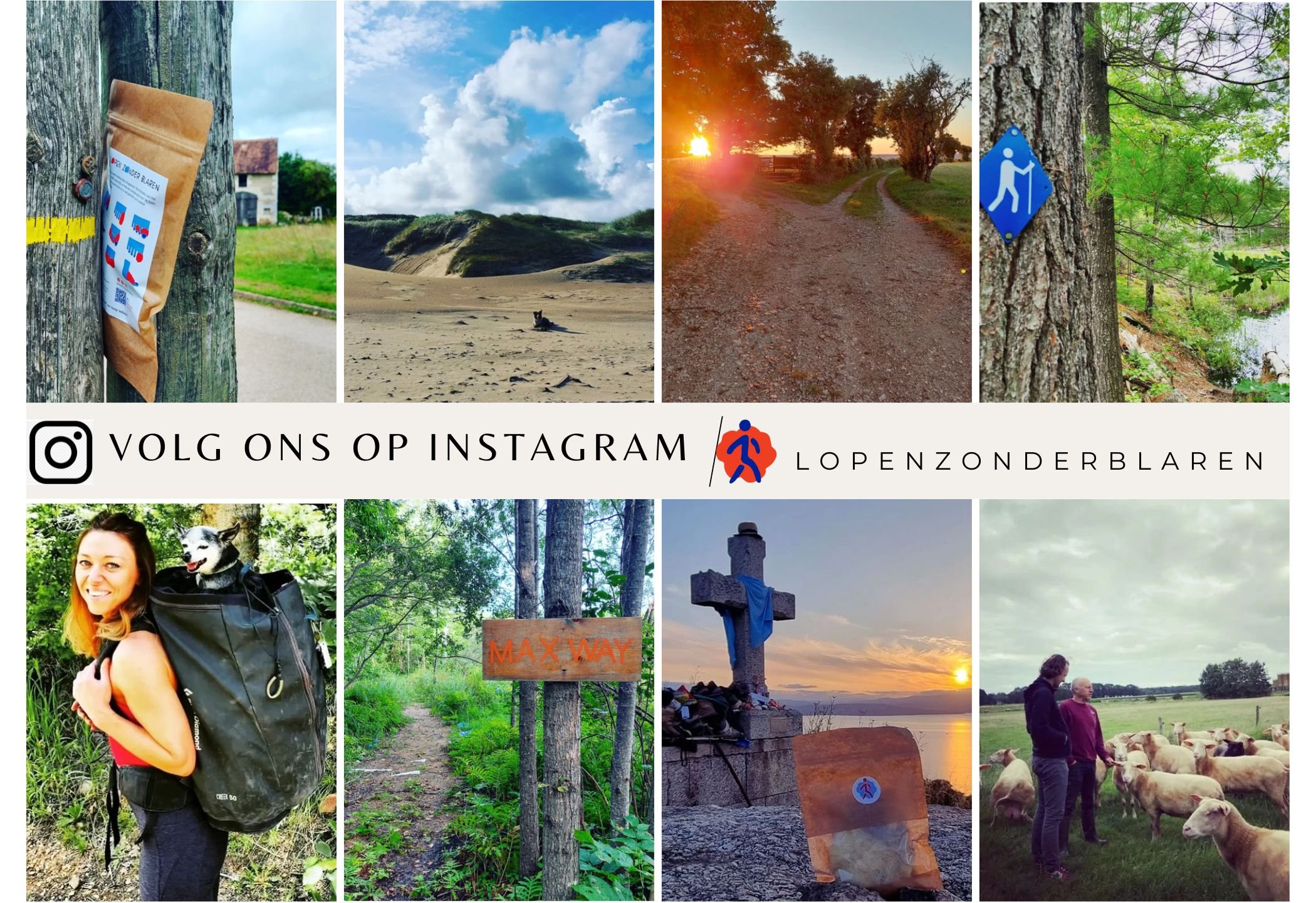 De mooiste routes in Nationaal Park Utrechtse Heuvelrug — Lopen Zonder ...
