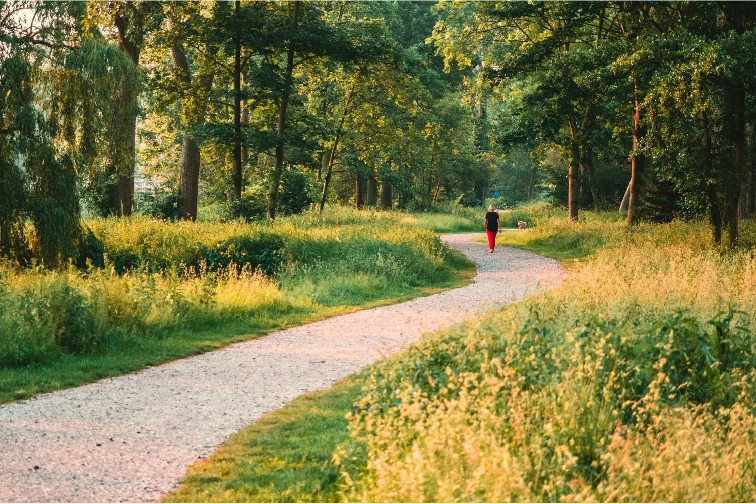Trekvogelpad wandelen: route en tips | Lopen Zonder Blaren