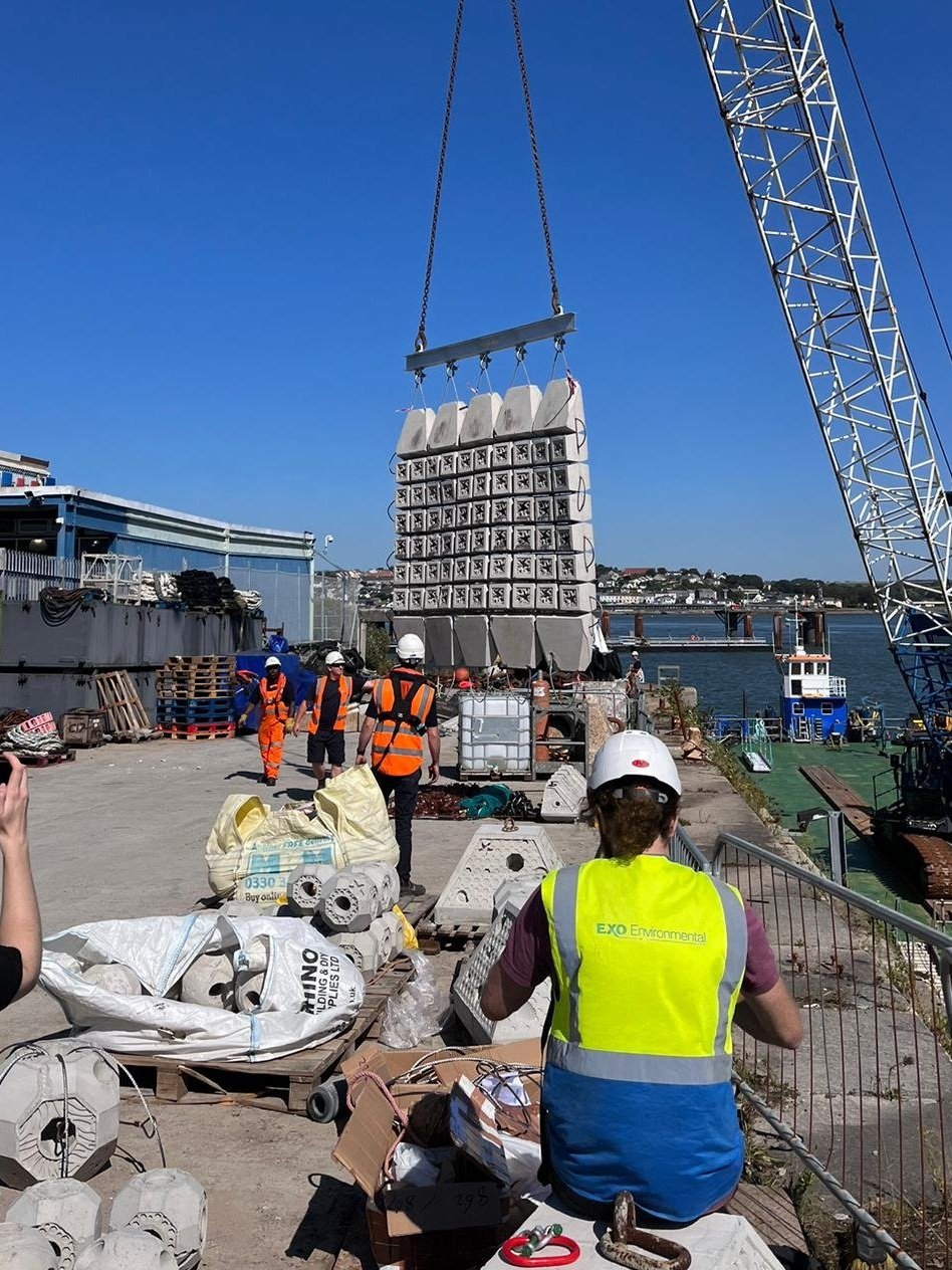 Nature-based subtidal solutions for floating offshore wind in the ...