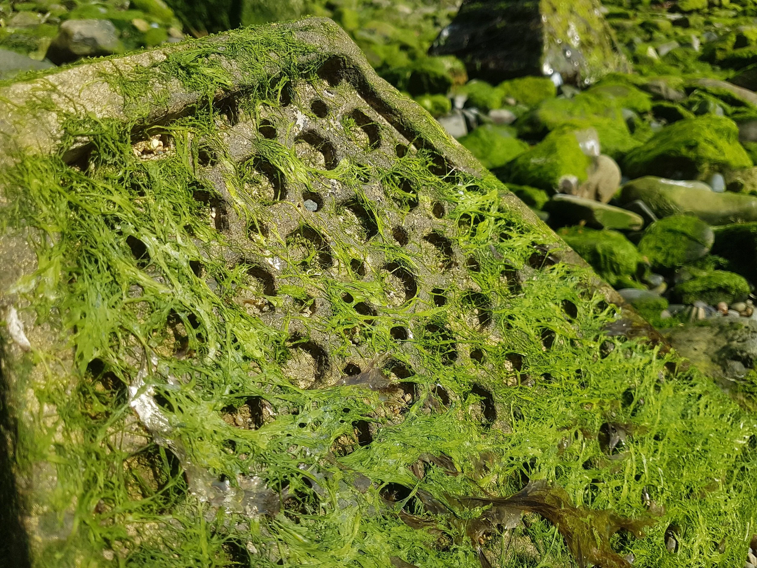 Embracing the Uniqueness of Marine Infrastructure — Exo Engineering
