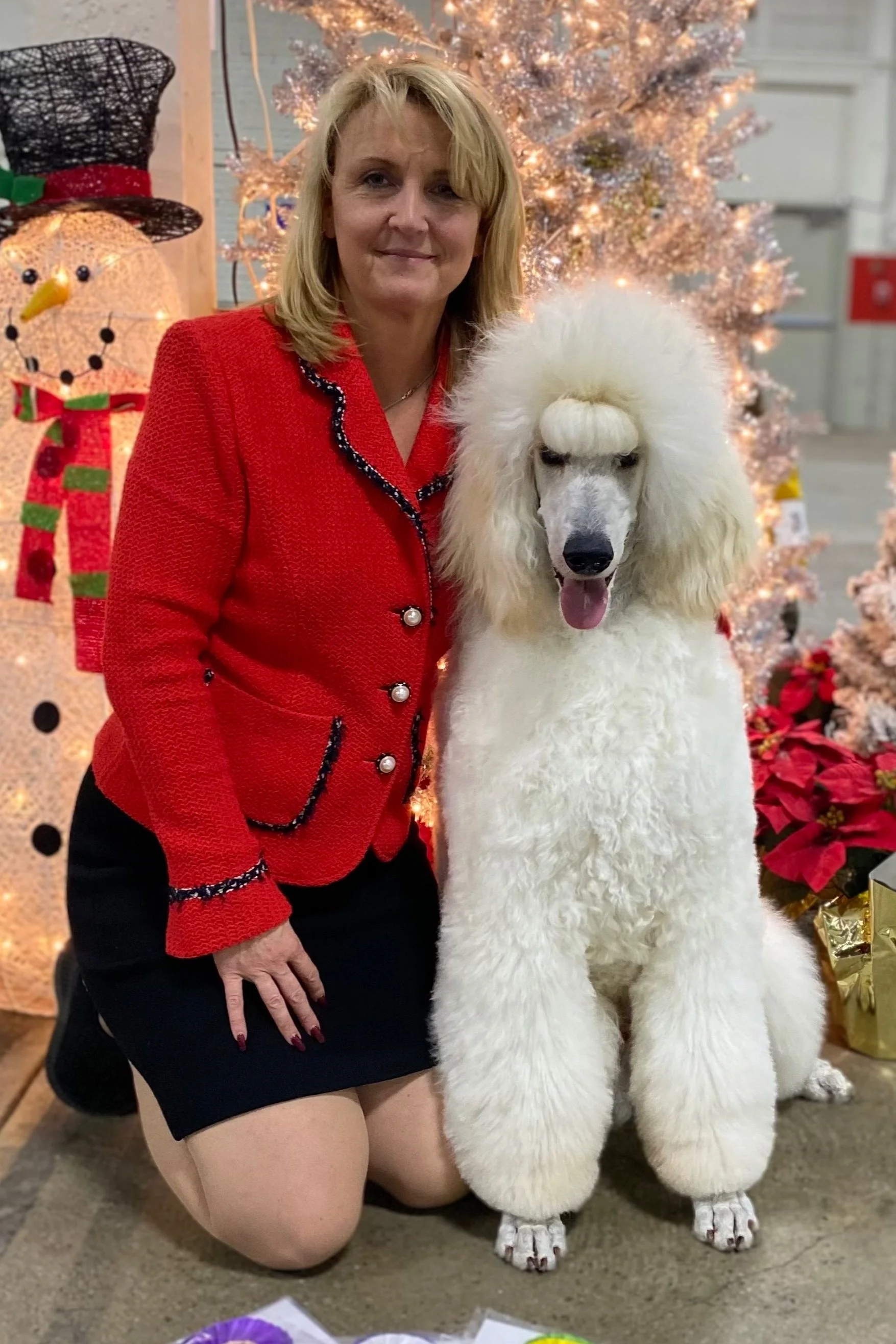 Our Poodles — Theory Standard Poodles