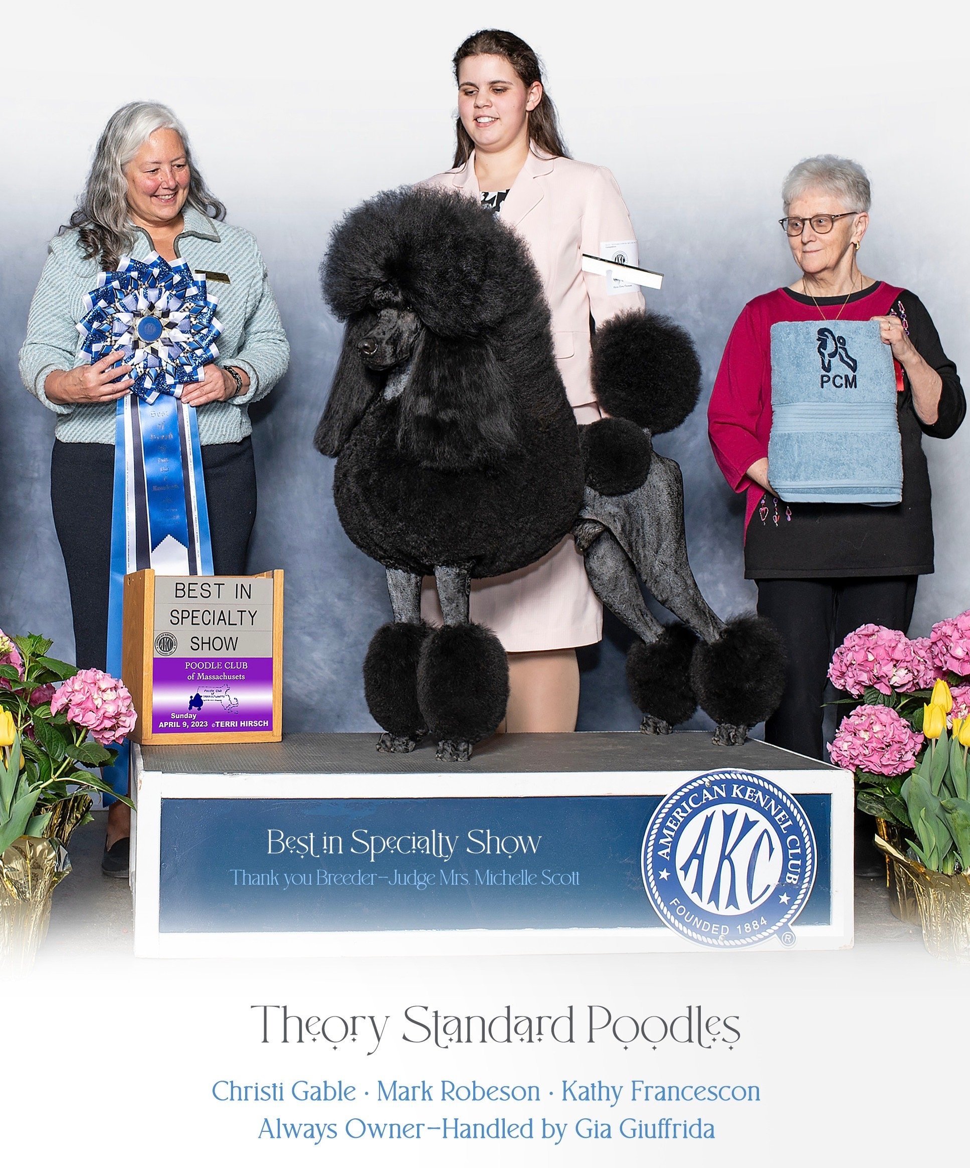 Theory Standard Poodles
