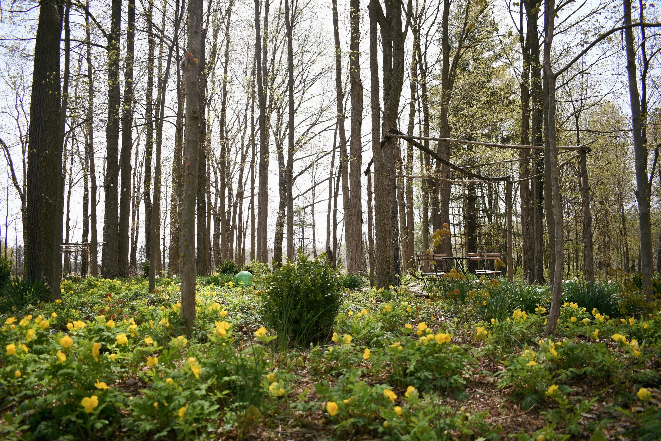 Our Story — Farrand Hall