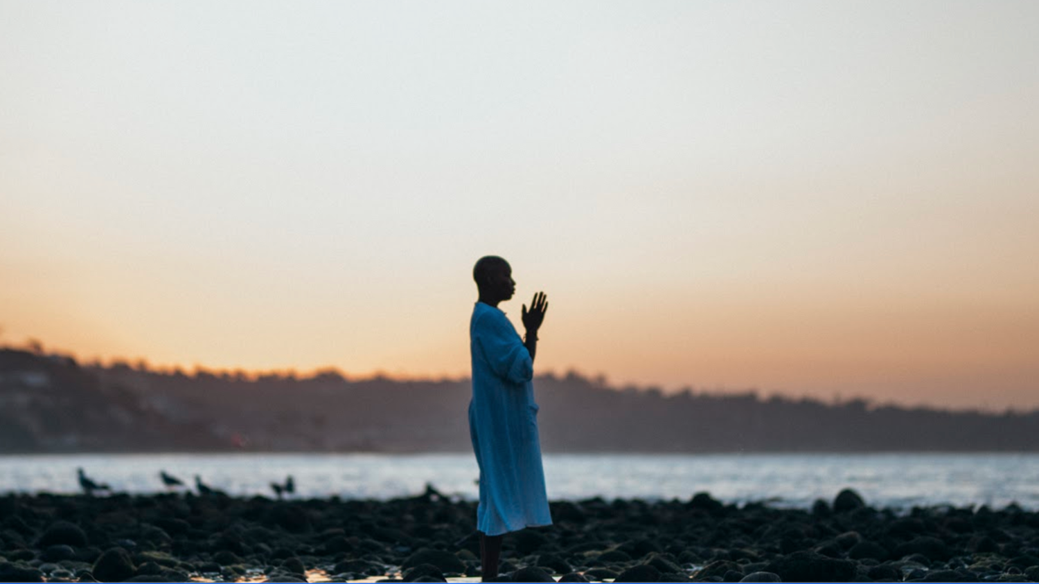 Courses — Tracee Stanley