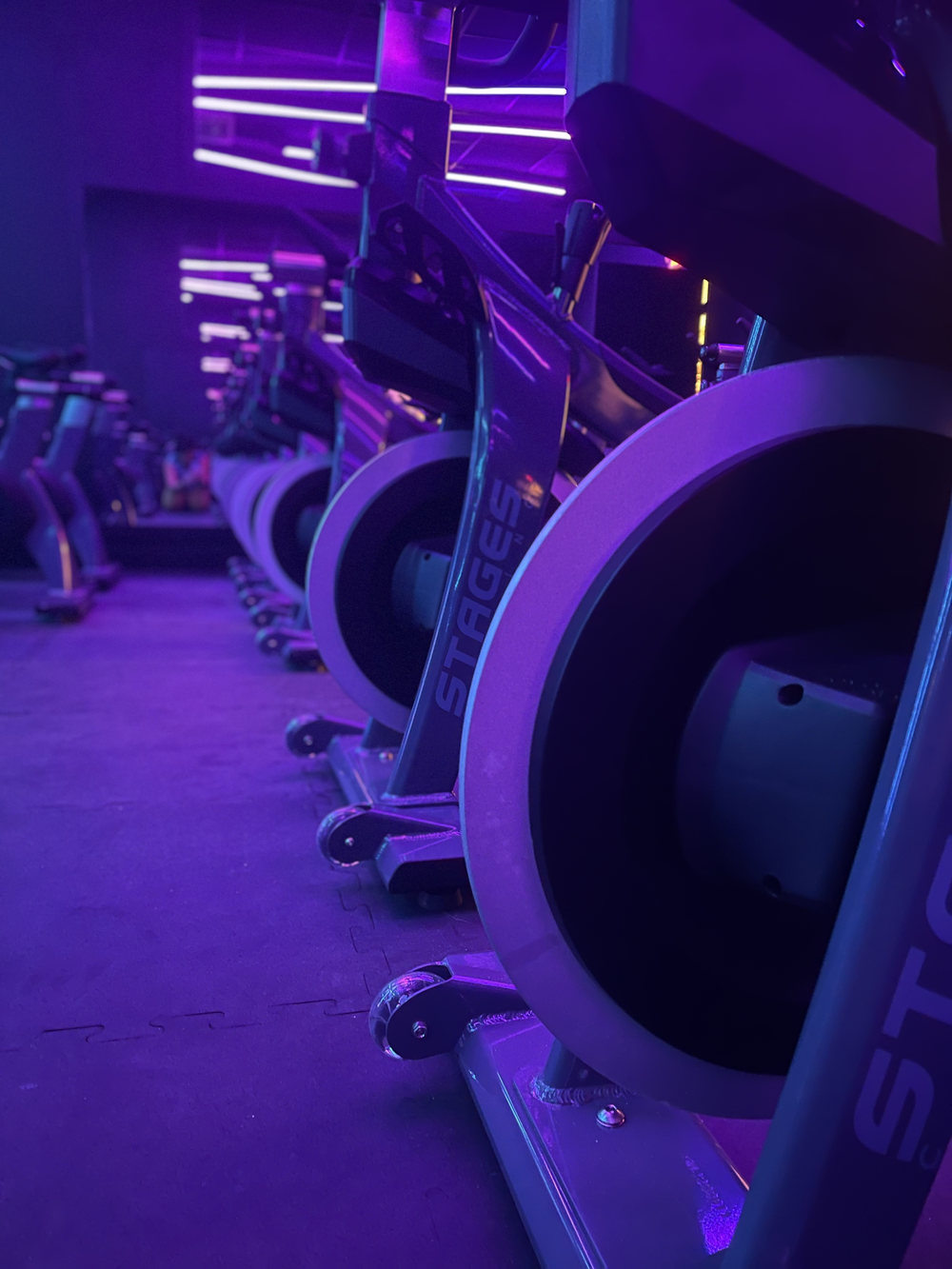 Rhythm Cycling 101: Everything You Need to Know — SELF Cycle