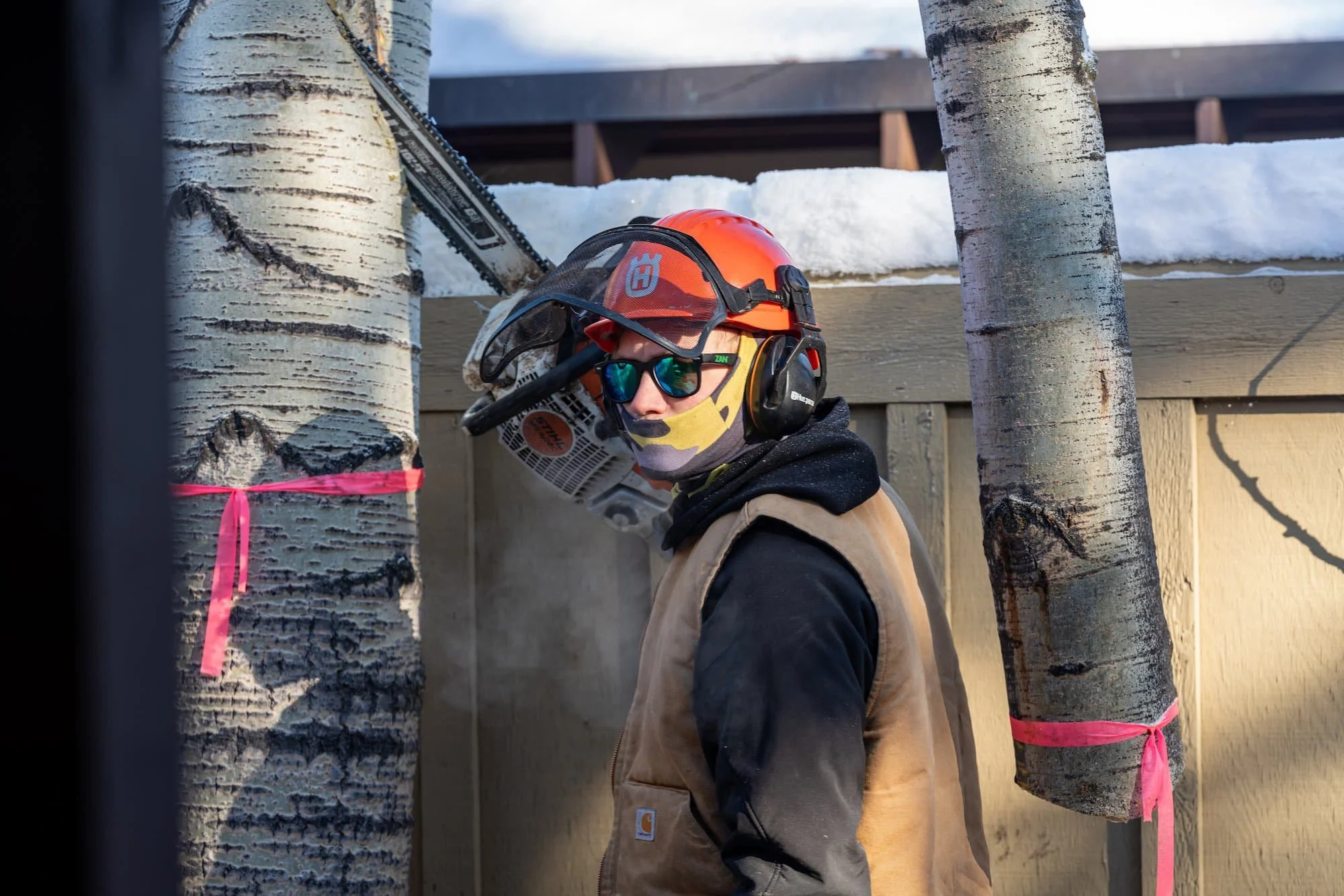 About Bozeman Arborcare - Your Tree Care Experts