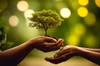 Residential Care Services — TerraGlen