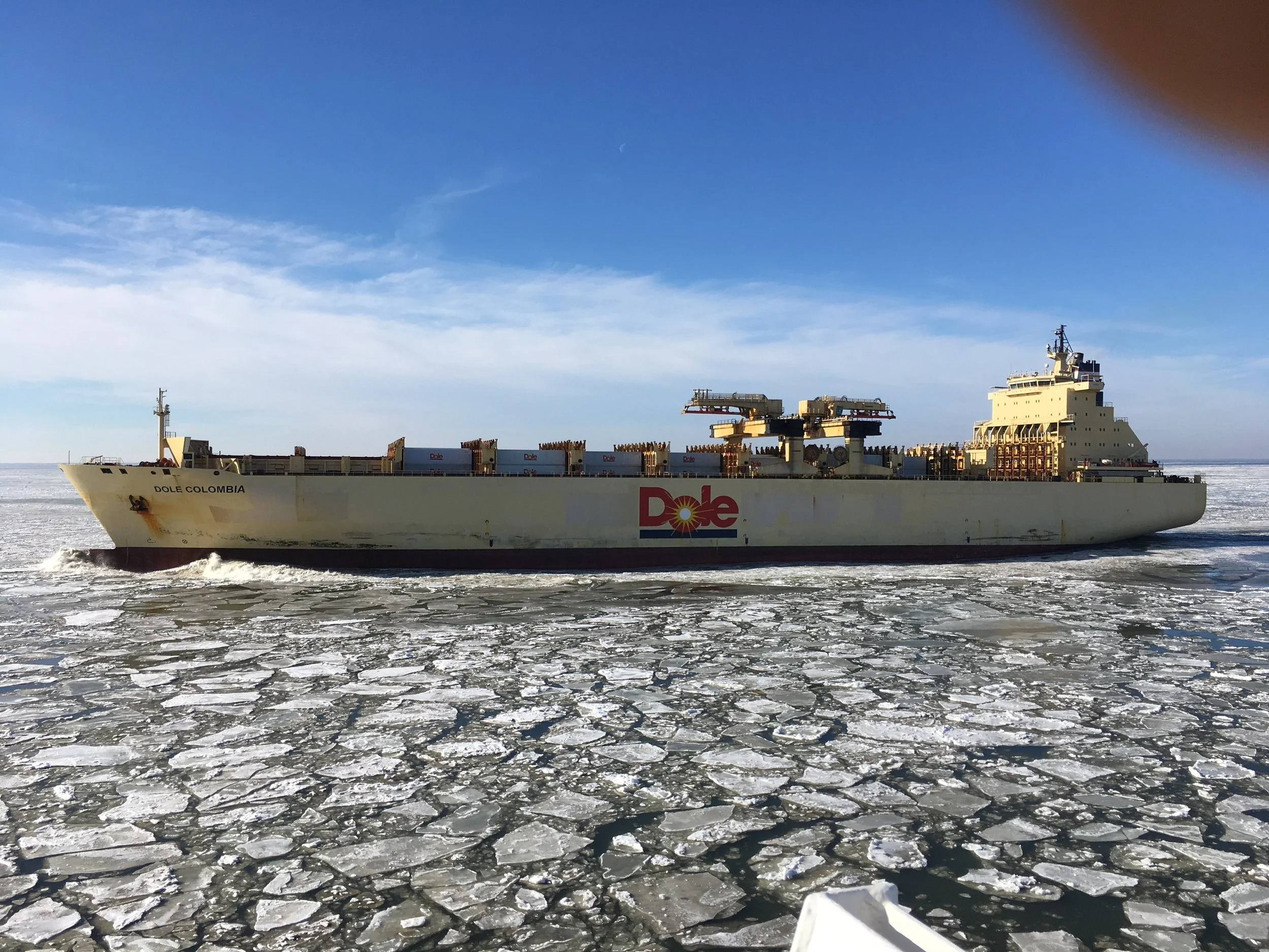 The Pilots' Association for the Bay and River Delaware