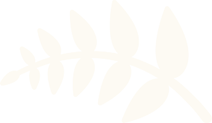 Garwnant, Brecon Beacons Visitor Centre