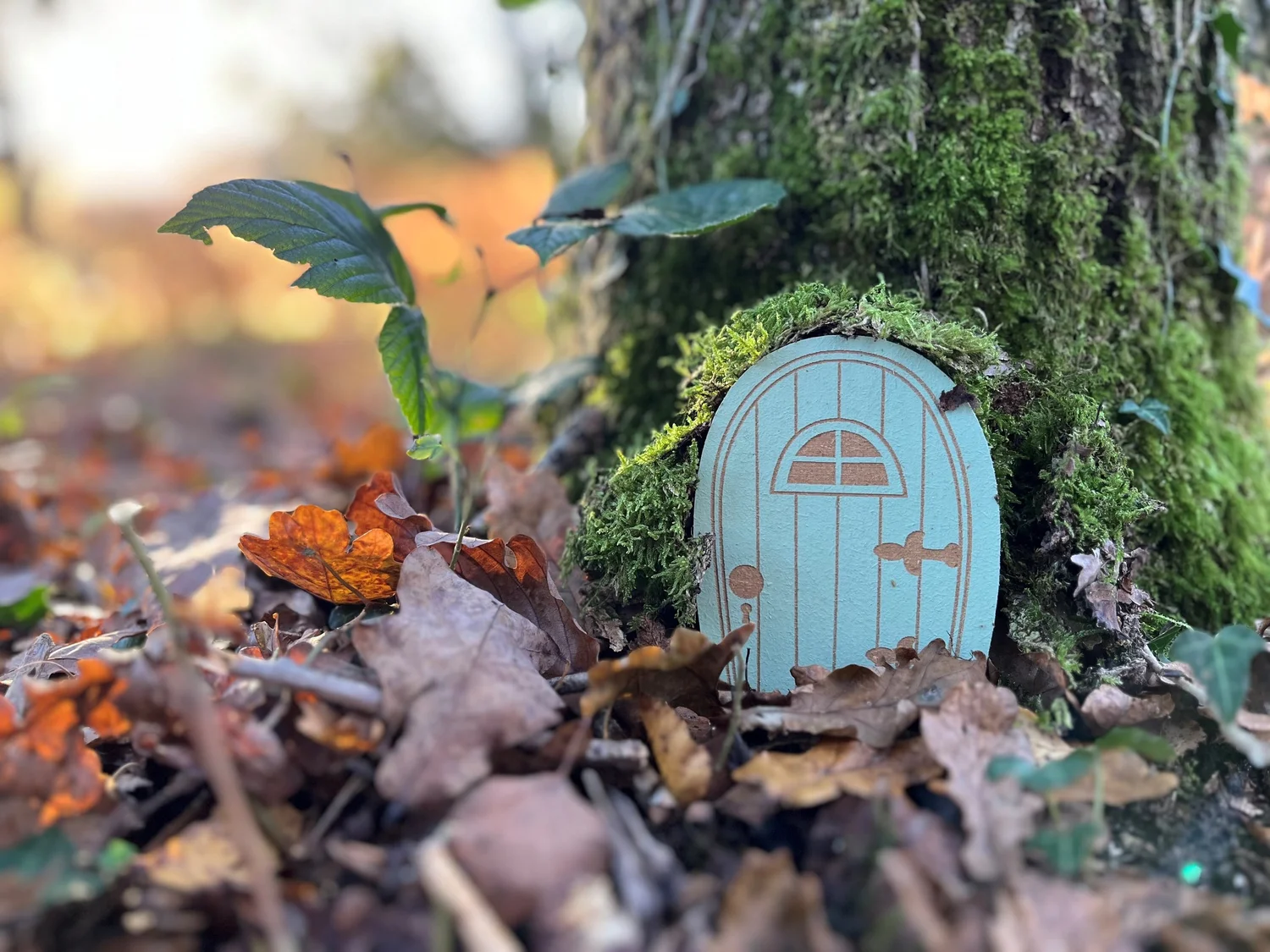 Garwnant, Brecon Beacons Visitor Centre