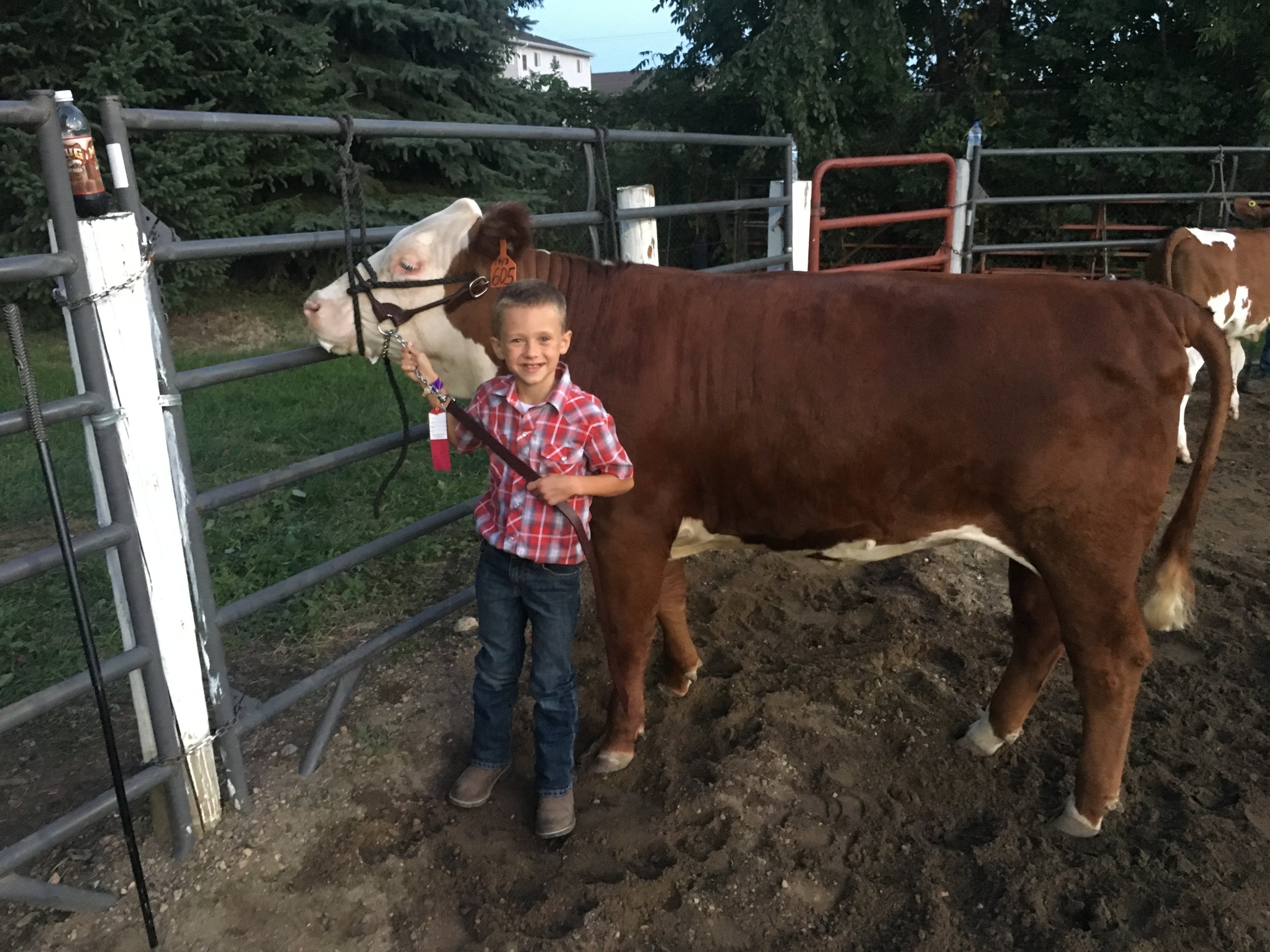 About — Schuette Family Farm