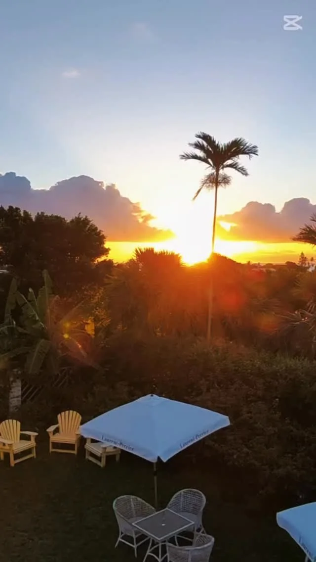 The Botanist Cafe & Garden Lounge | Bermuda | The Botanist