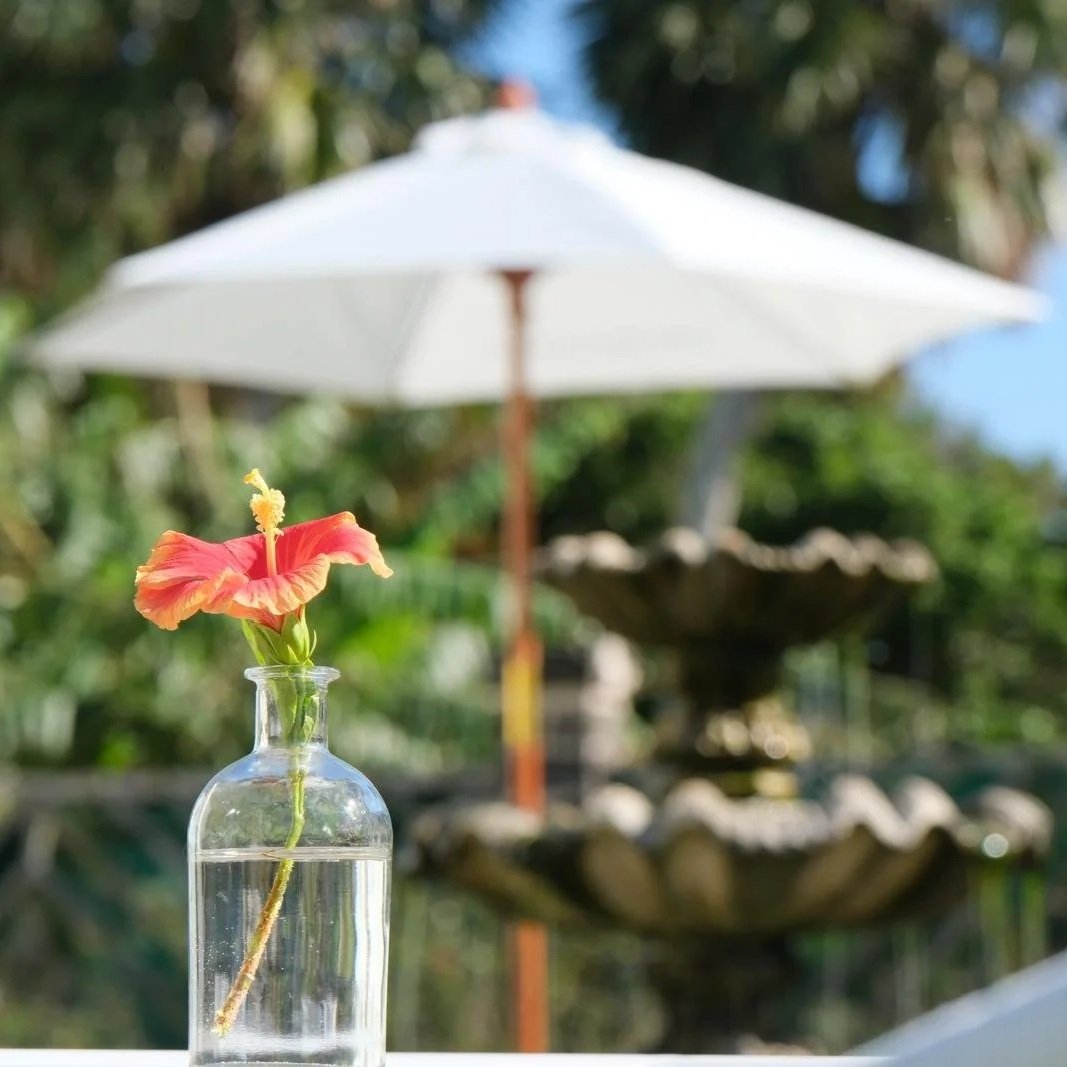 MENU DAYTIME | The Botanist
