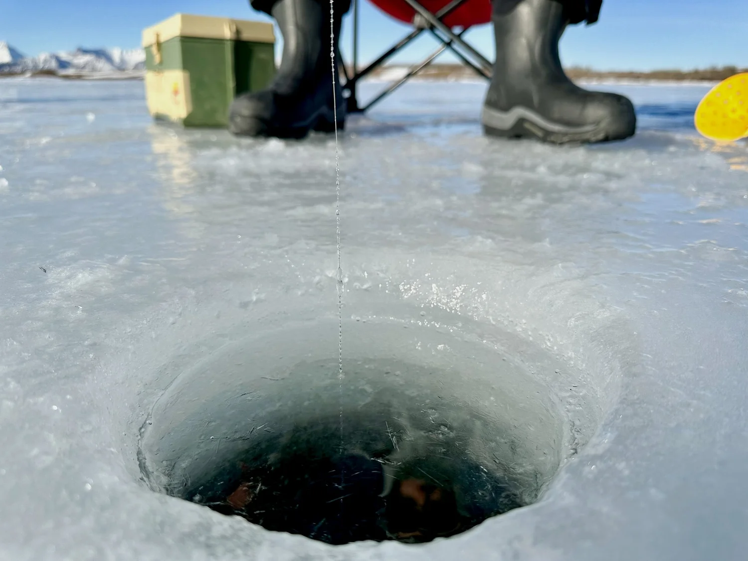 About 1 — Arctic Survival Tours