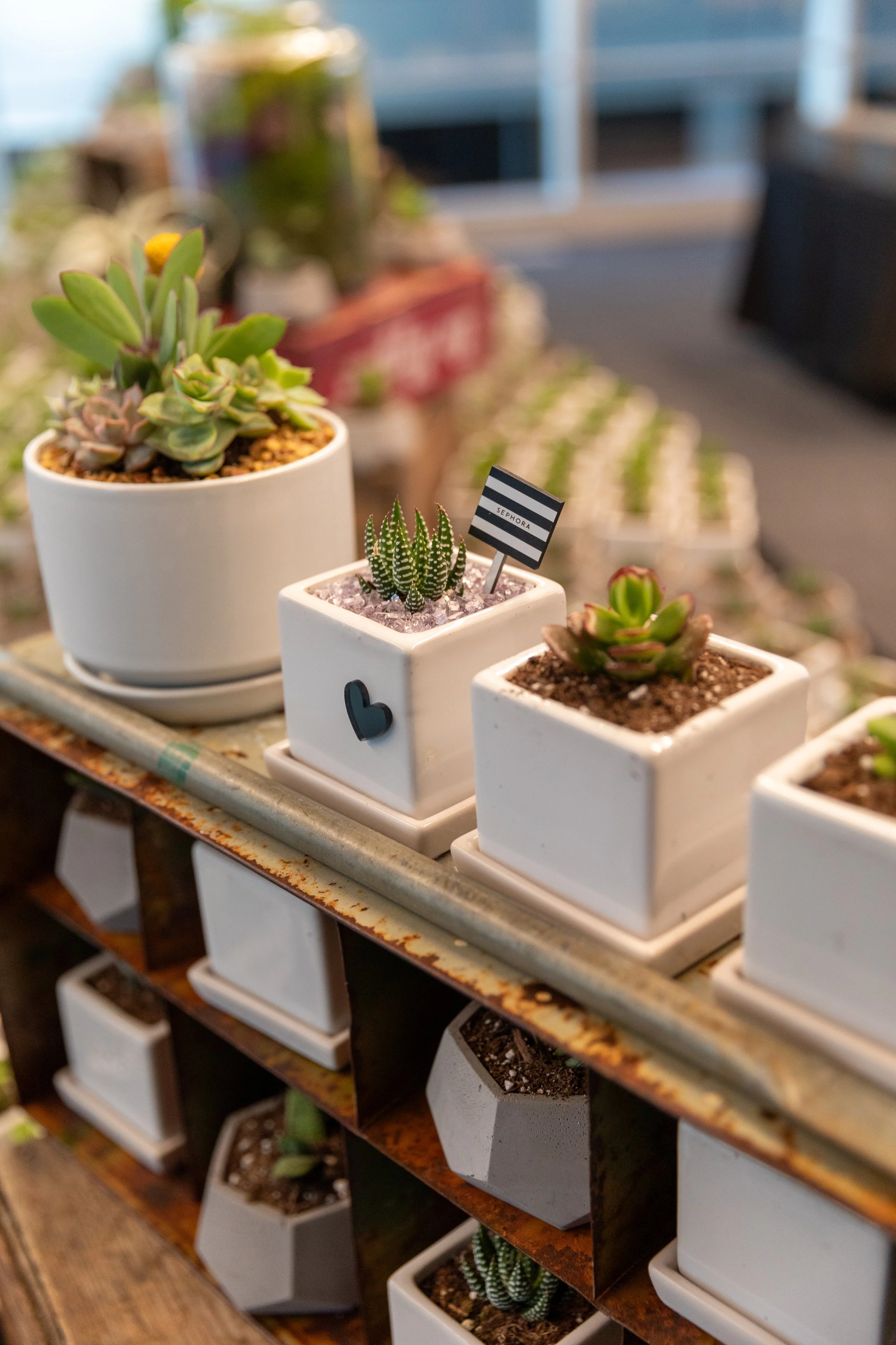 Activations — Canary Marketing